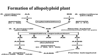 plant breeding (group 6).pptx for Ohawu Agricultural College, diploma 3 ...