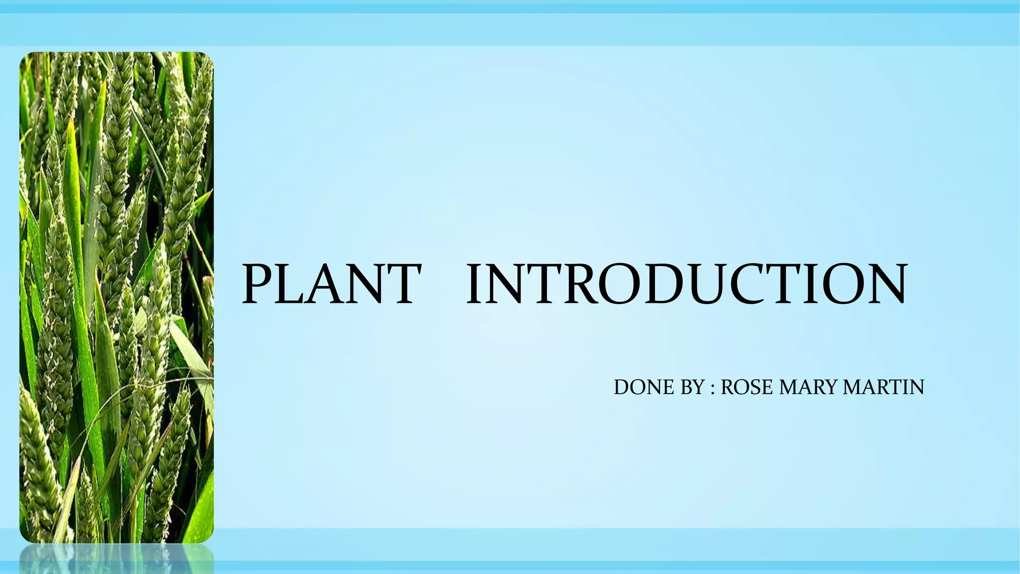 Plant introduction | PPTX