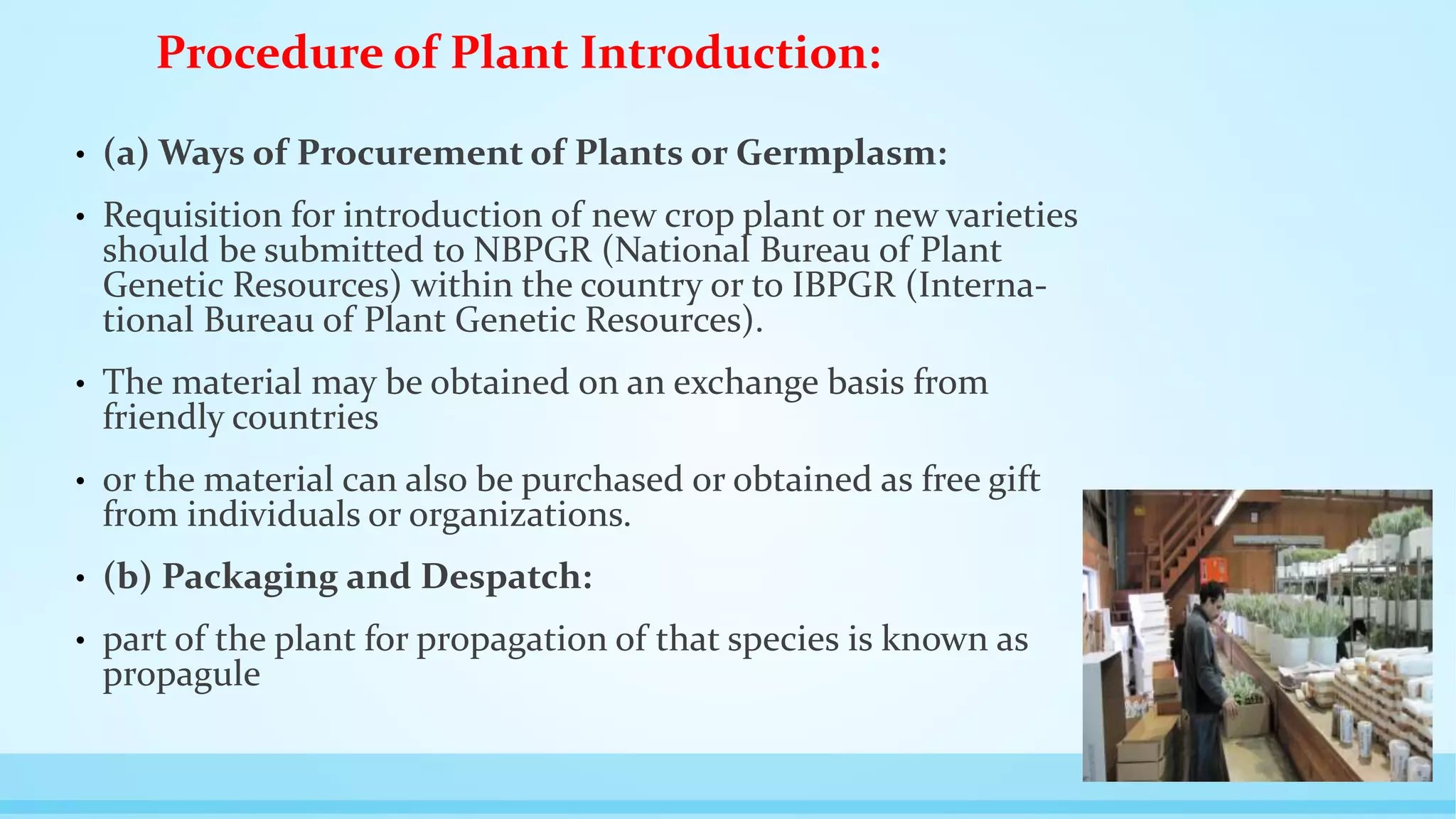 Plant introduction | PPTX