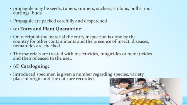 Plant introduction | PPTX | Agriculture | Industries