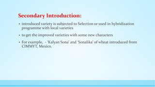 Plant introduction | PPTX