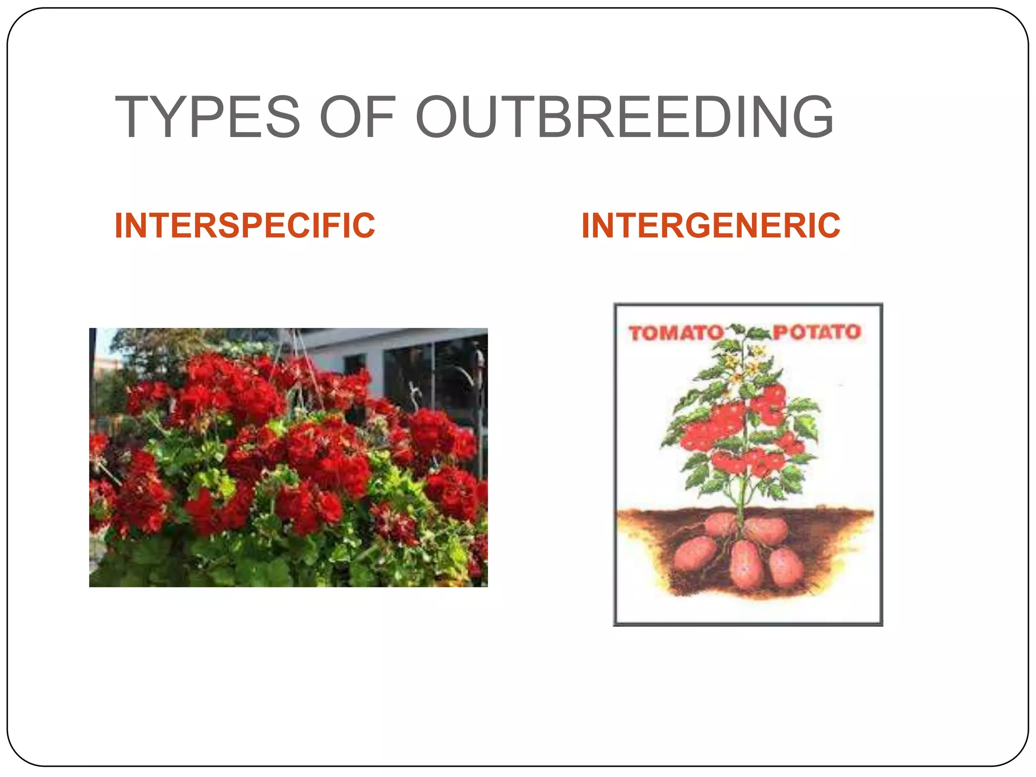 Plant Breeding Methods | PPTX