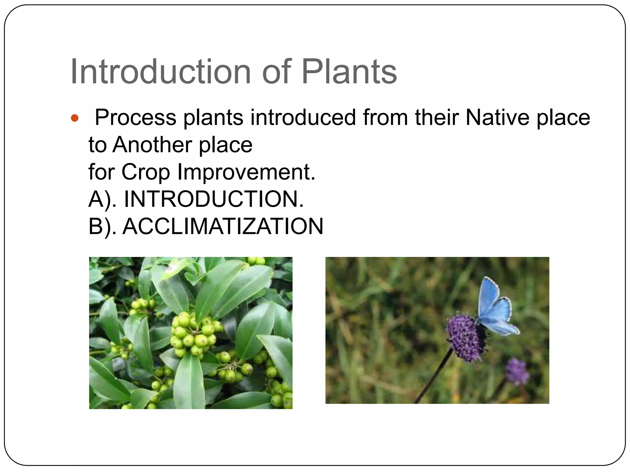 Plant Breeding Methods | PPTX