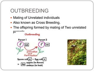 Plant Breeding Methods | PPTX