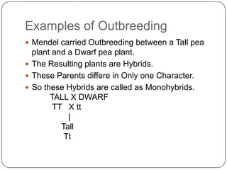 Plant Breeding Methods | PPTX