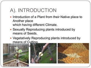 Plant Breeding Methods | PPTX