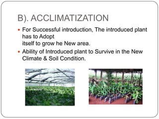 Plant Breeding Methods | PPTX