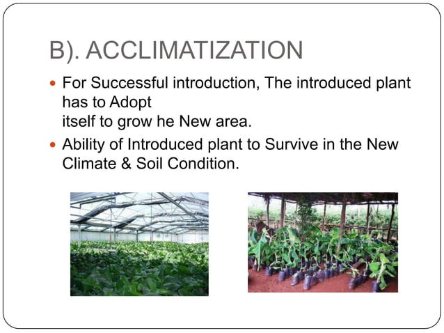 Plant Breeding Methods | PPTX