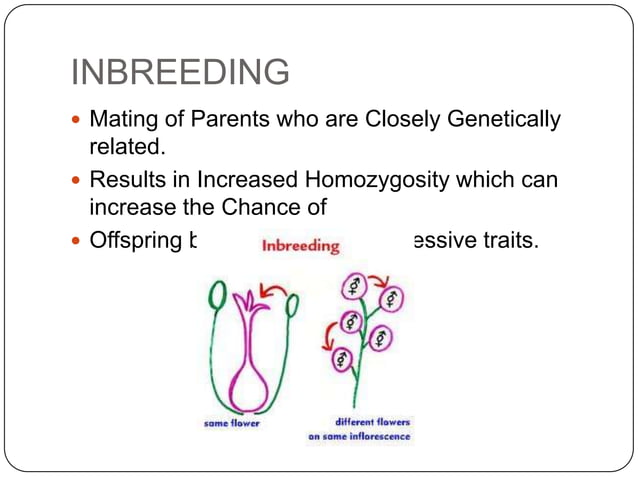 Plant Breeding Methods | PPTX