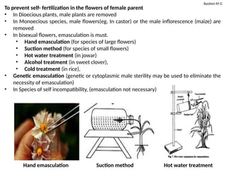 Plant breeding part 2 (Centres of Origin, Domestication, Introduction ...