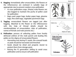 Plant breeding part 2 (Centres of Origin, Domestication, Introduction ...