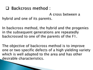Plant breeding ppt | PPTX