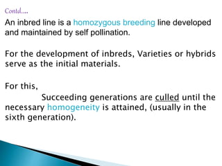 Plant breeding ppt | PPTX