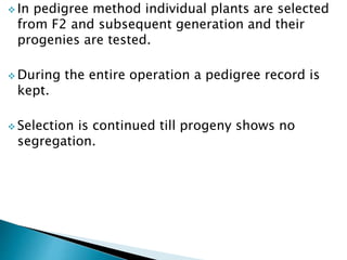 Plant breeding ppt | PPTX
