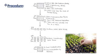 Plant Breeding: Principles, Methods and applications | PPTX