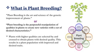 Plant Breeding: Principles, Methods and applications | PPTX