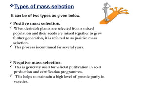 Plant Breeding: Principles, Methods and applications | PPTX