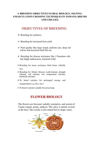 Plant breeding practical | PDF