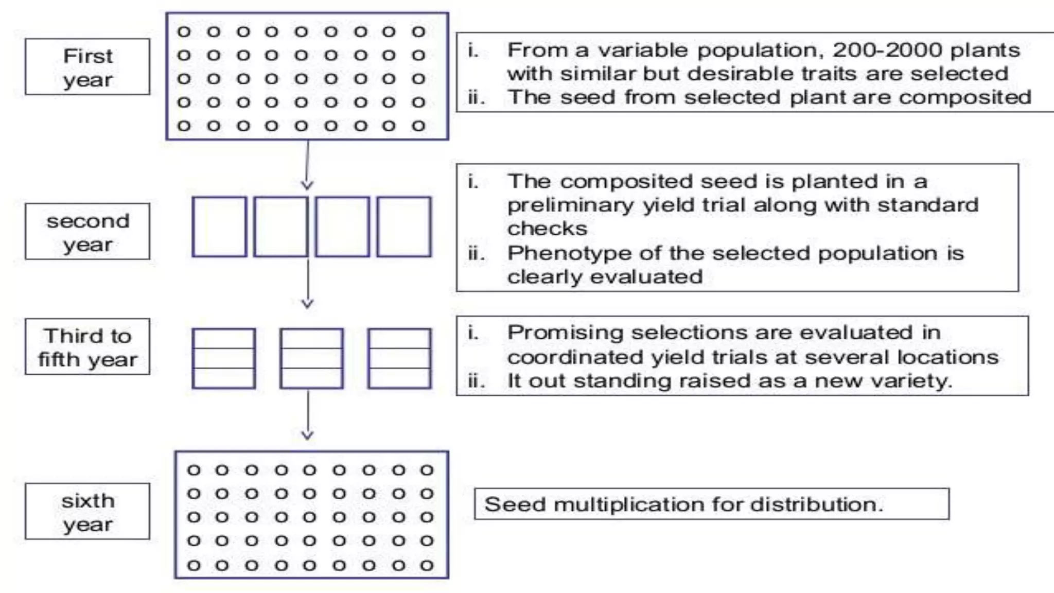 Plant breeding techniques | PPTX