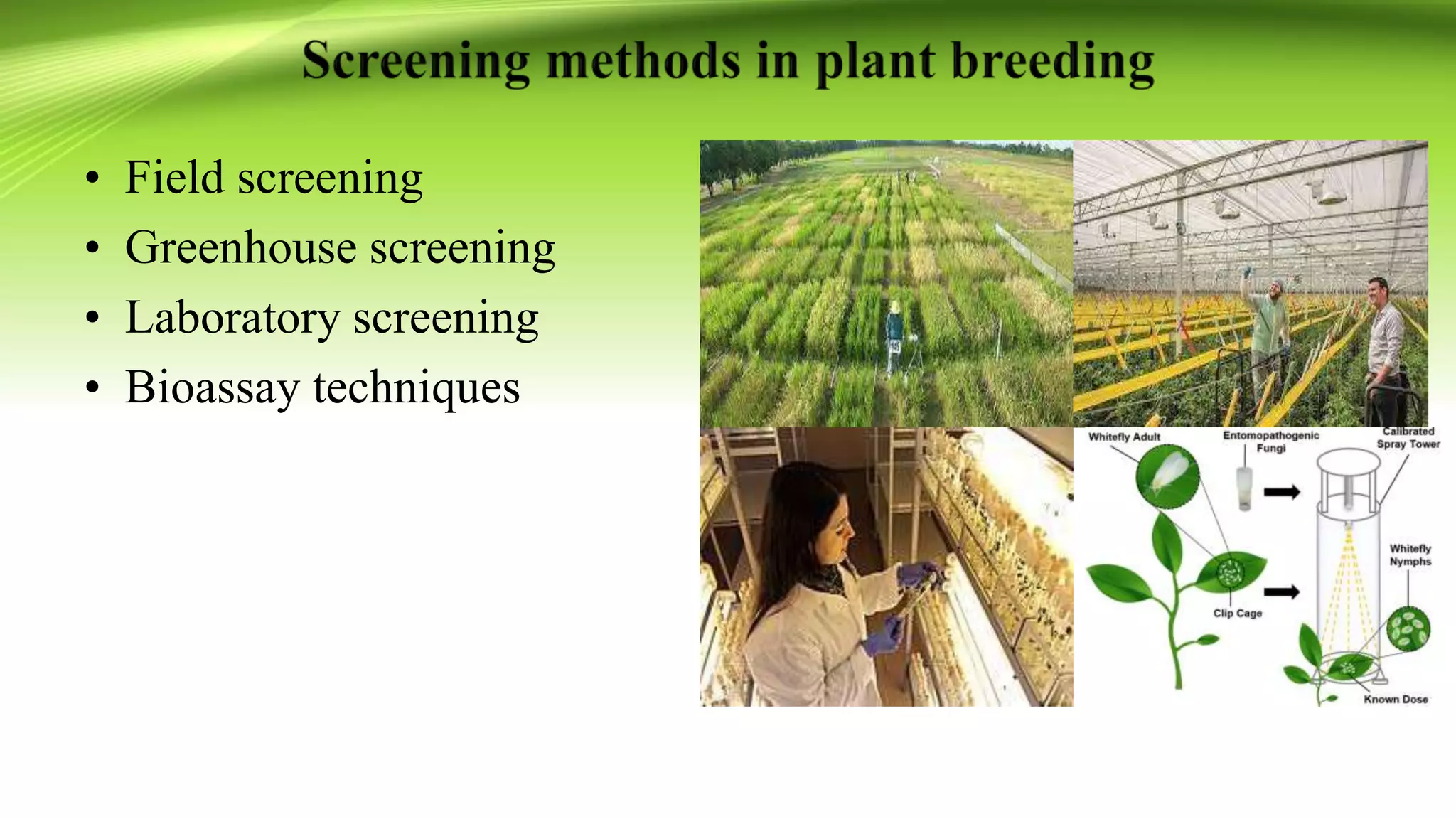 Plant breeding techniques | PPTX
