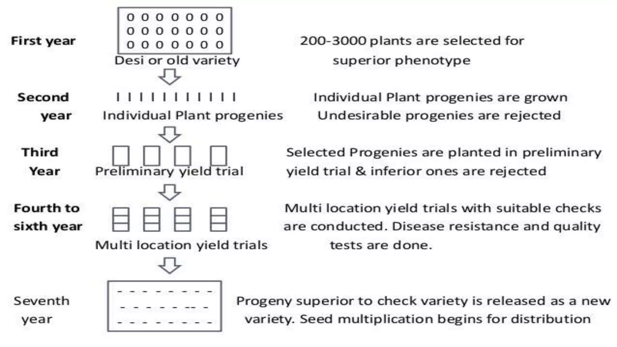 Plant breeding techniques | PPTX
