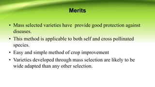 Plant breeding techniques | PPTX