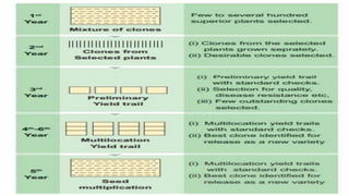 Plant breeding techniques | PPTX
