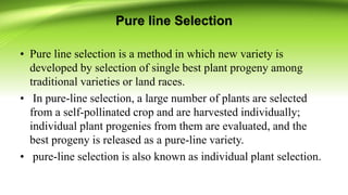 Plant breeding techniques | PPTX