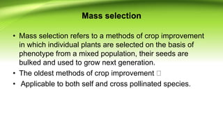 Plant breeding techniques | PPTX