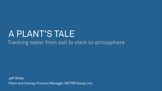 Plant & Canopy 101: Tracking Water Flow from Soil to Atmosphere | PDF
