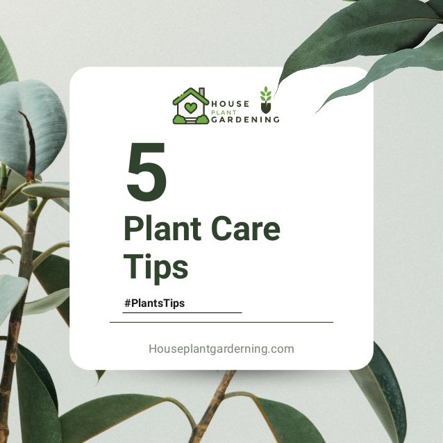 Plant Care Tips Carousel Instagram Post.pdf
