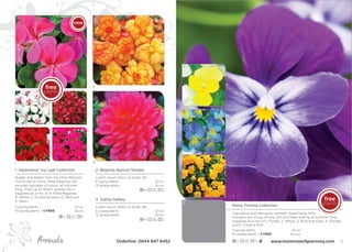 Mont Rose of Guernsey Catalogue initial design spreads | PDF