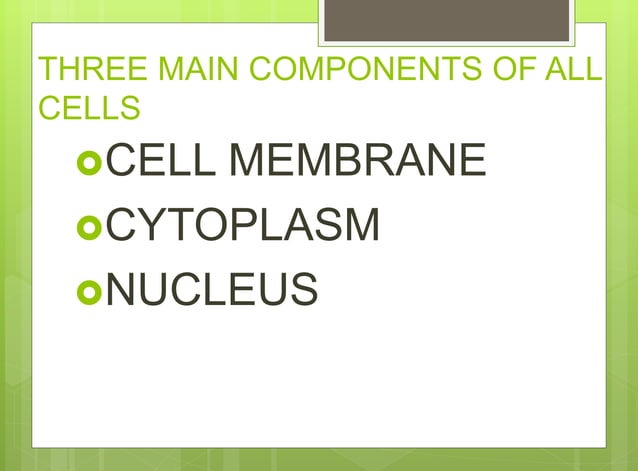 Plant cell | PPT