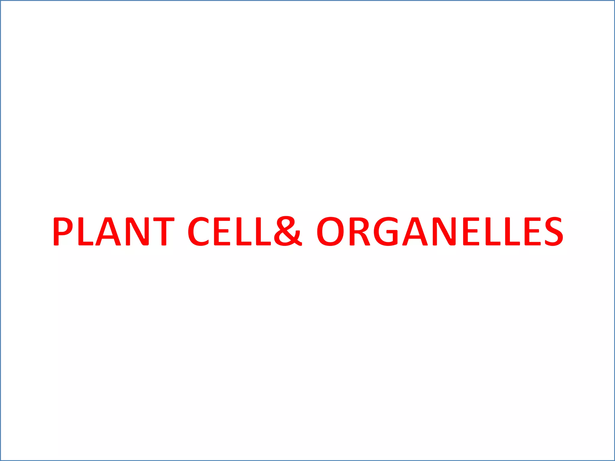Plant cell...... | PPTX