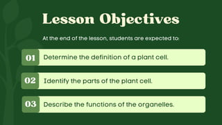 Detailed and brief explnation plant cell.pdf