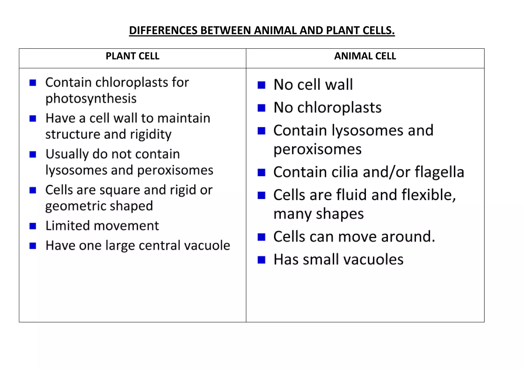 Plant cell animal cell | DOCX