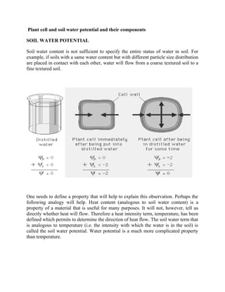 Plant cell and soil water potential and their components.docx