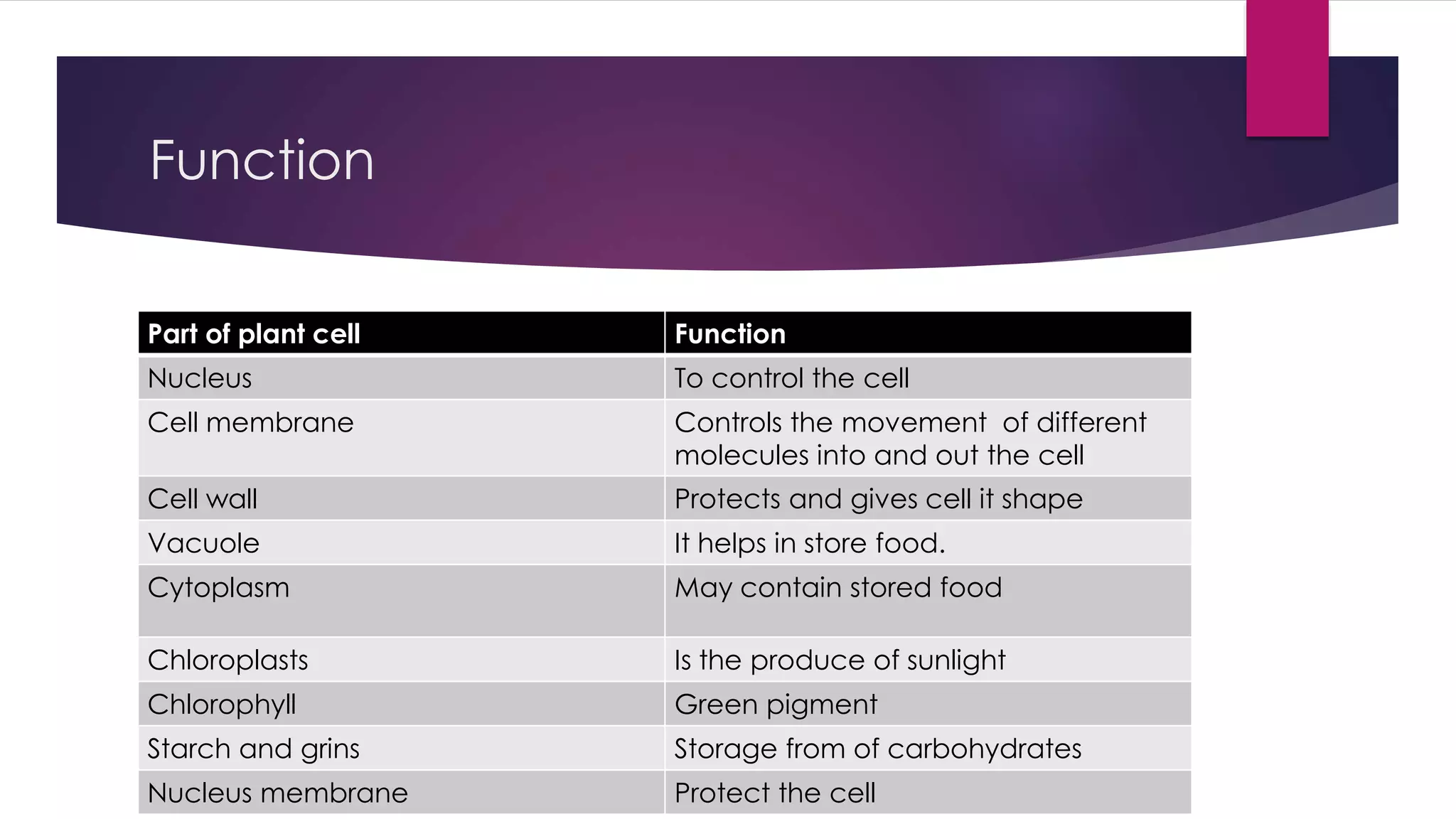 Grade 8B - Plant Cell and Function - Group 2 | PPTX