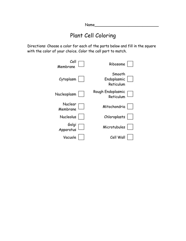 Biology - Plant Cell Coloring | PDF