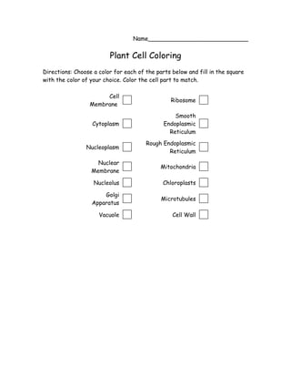 Plant Cell Coloring