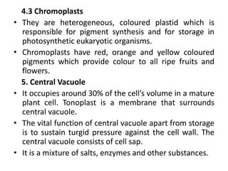 Plant Cell constituents | PPTX