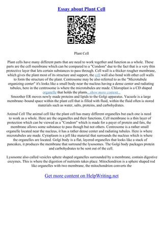 Plant Cell Essay | PDF