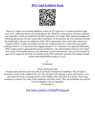 Plant Cell Essay | PDF