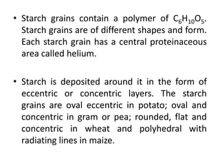 Plant cell inclusion and constituents | PPTX