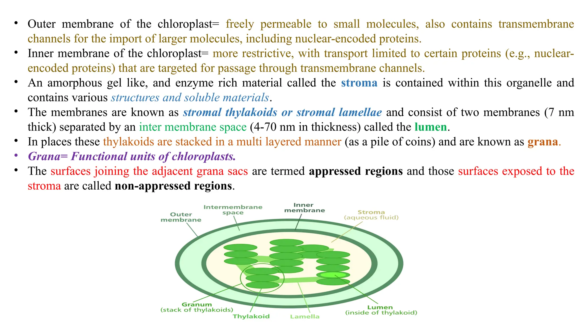 Plant Cell Organelles and their functions | PPTX