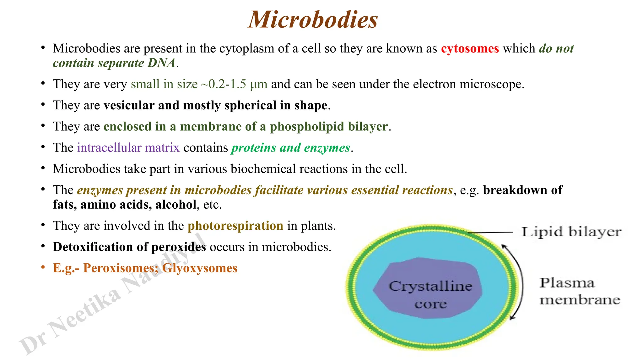 Plant Cell Organelles and their functions | PPTX