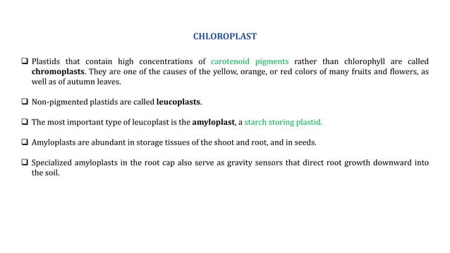 Plant cell Overiew | PPT