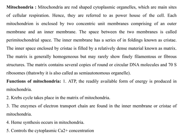 Plant cell; Overview.pptx | Biological Sciences | Science