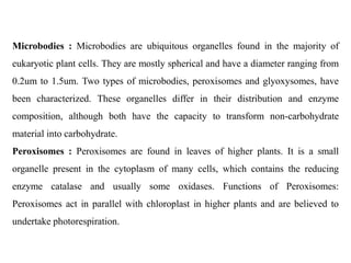 Plant cell; Overview.pptx
