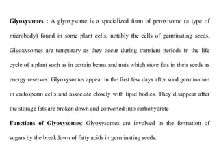 Plant cell; Overview.pptx